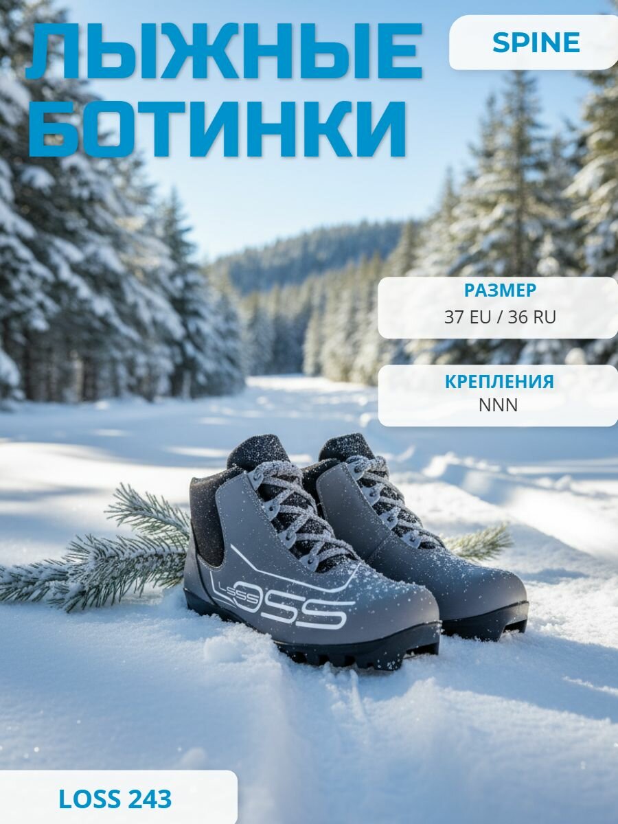 Ботинки лыжные Spine LOSS 243(NNN), 37р, для беговых лыж, зимних прогулок и тренировок