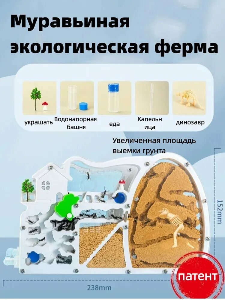 Большая муравьиная ферма