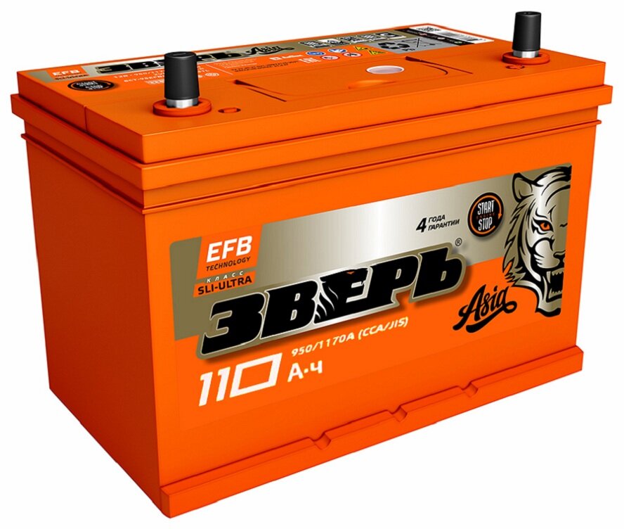Аккумулятор автомобильный Зверь EFB Asia 110 А/ч 950 А обр. пол. 125D31L Азия авто (305x175x221) ZVEFBA 110-3-R с бортиком