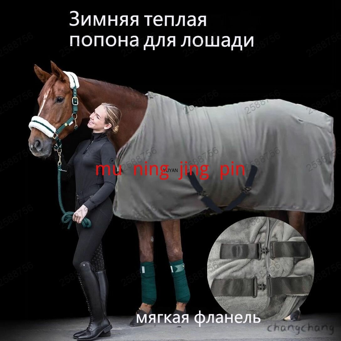 Попона для лошади