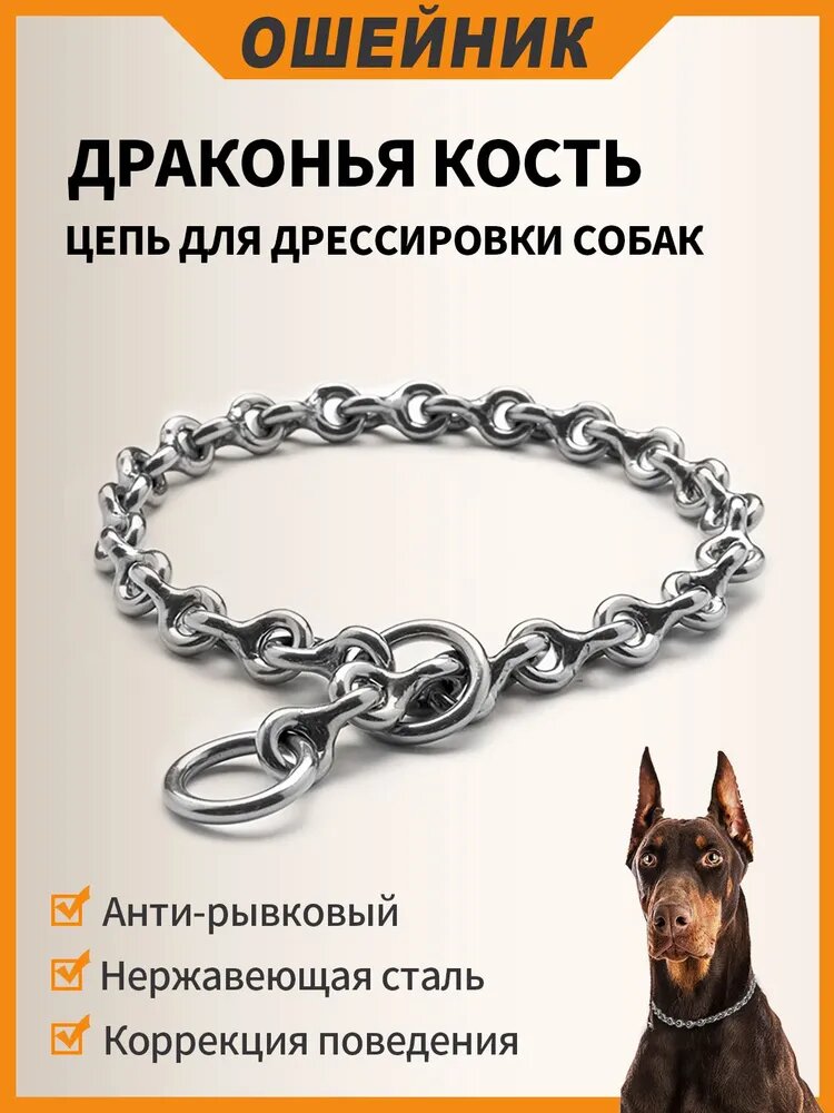 Ошейник-цепь "Драконья кость" для дрессировки собак: нержавеющая сталь 304, П-образная цепь, для средних собак (XXL: 65 см, 5 мм, обхват до 60 см)