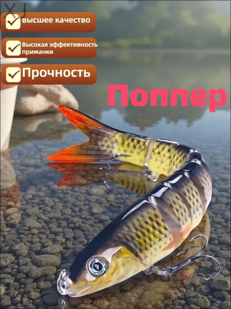 Поппер