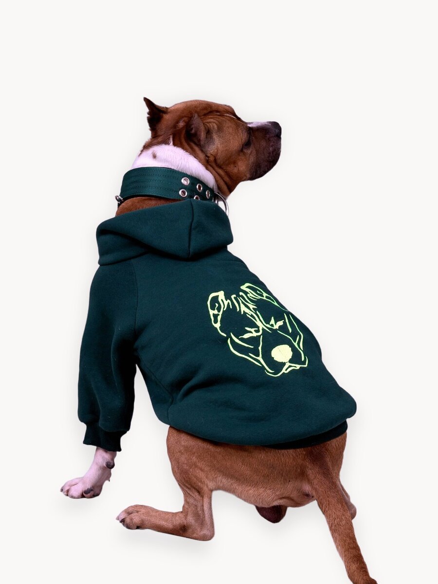 Одежда для животных