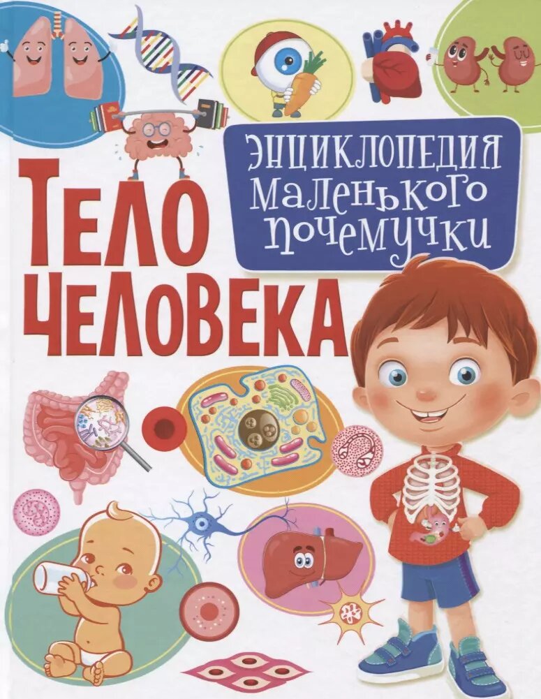 Тело человека. Энциклопедия маленького почемучки