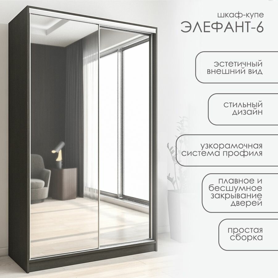 Шкаф-купе Элефант-6, 120*220*60, белый гладкий, с зеркалом, с ящиками