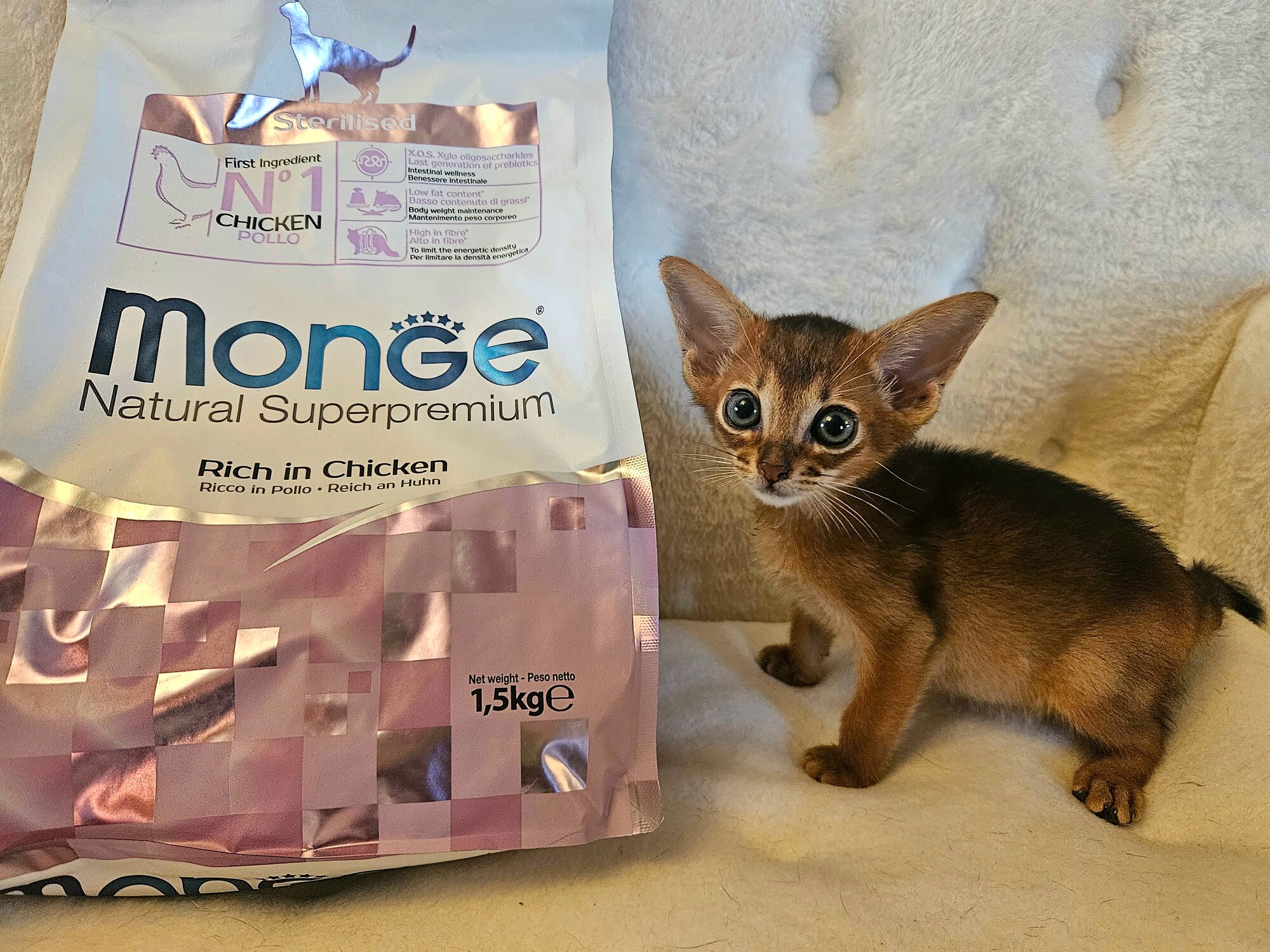 Сухой корм Monge Cat Sterilised для стерилизованных кошек, курица, 1,5 кг