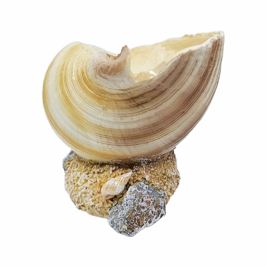 (1 шт.) Цветочный горшок в виде улитки для украшения интерьера и улицы