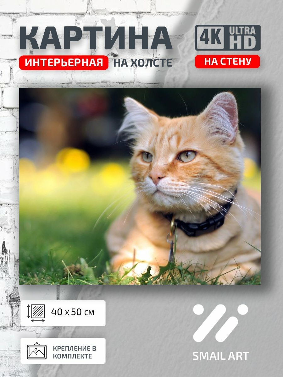 Картина на холсте интерьерная 40 на 50 на стену Рыжий Animal для спальни animal style декор