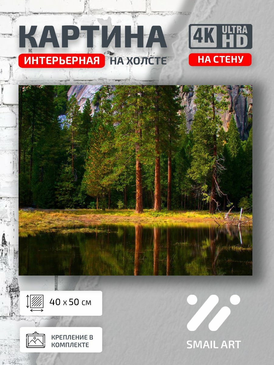 Картина на холсте интерьерная 40 на 50 на стену Деревья Landscape для кабинета пейзаж декор