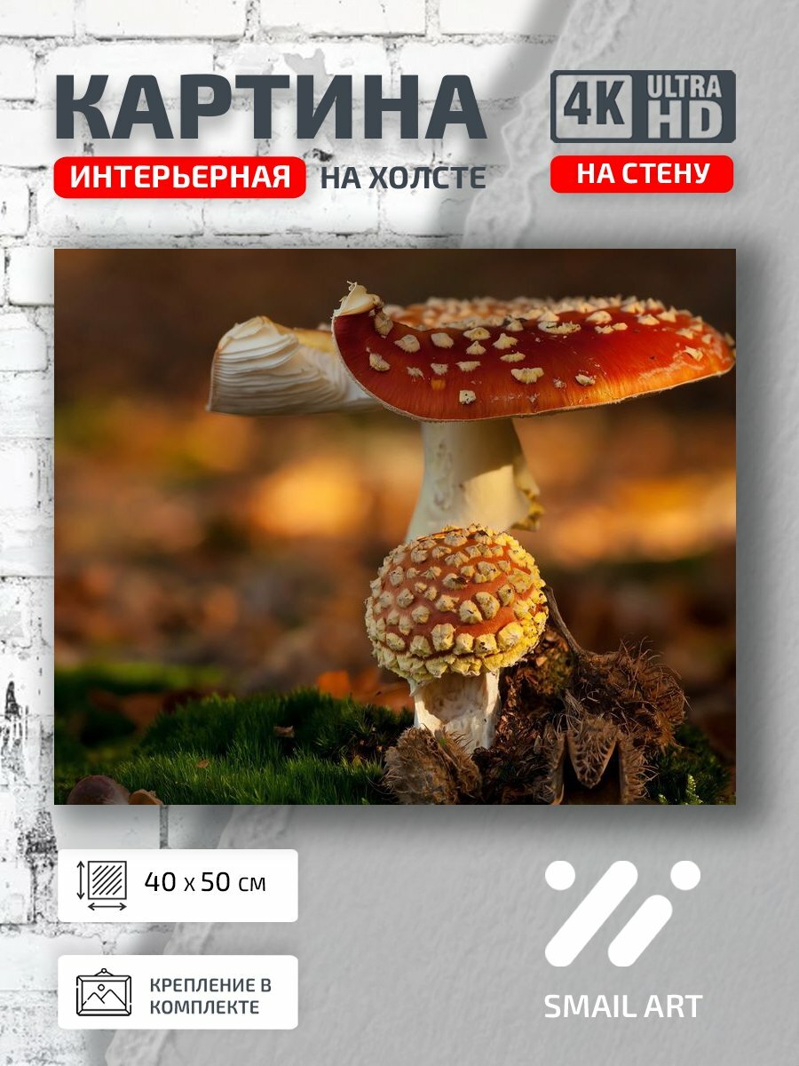 Картина на холсте интерьерная 40 на 50 на стену Мухомор Landscape для кафе пейзаж интерьер