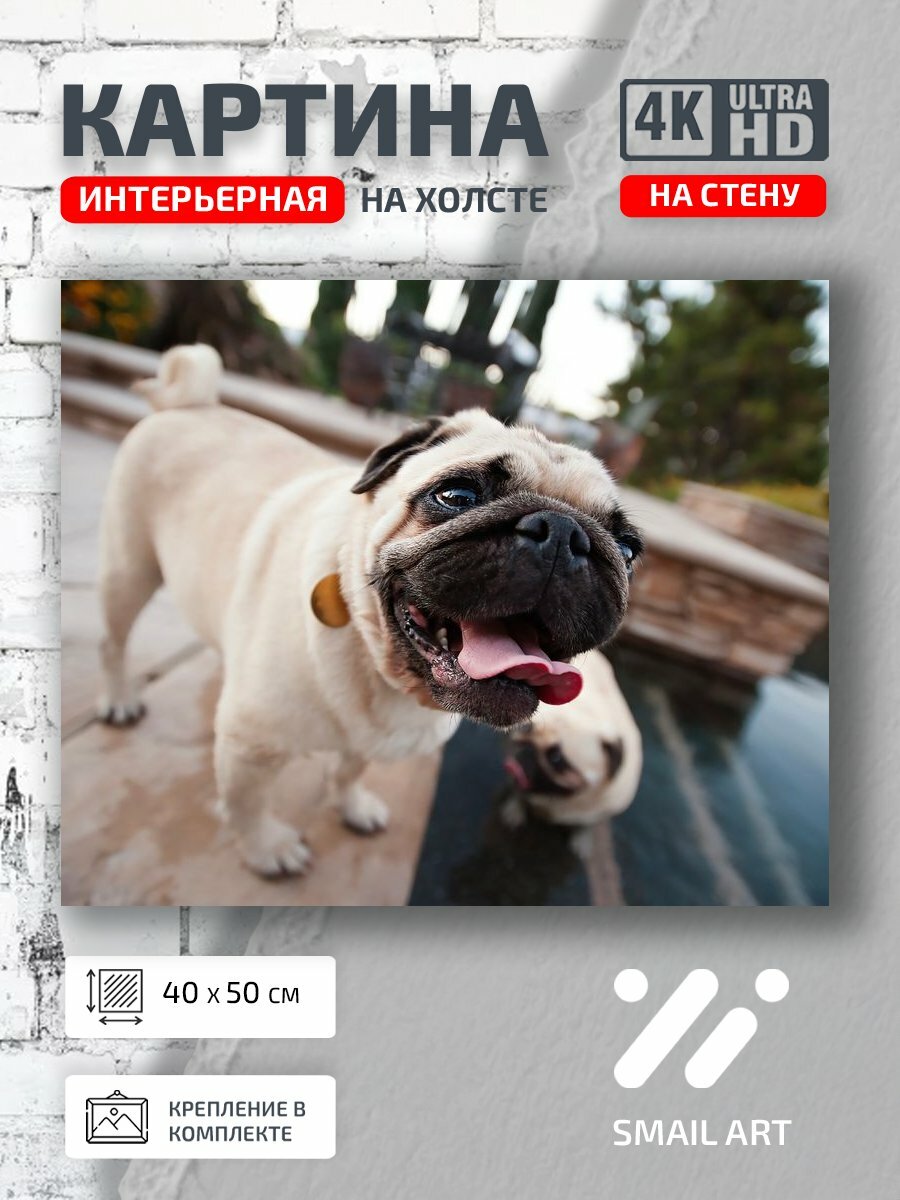Картина на холсте интерьерная 40 на 50 на стену Язык Mood для кабинета атмосфера интерьер