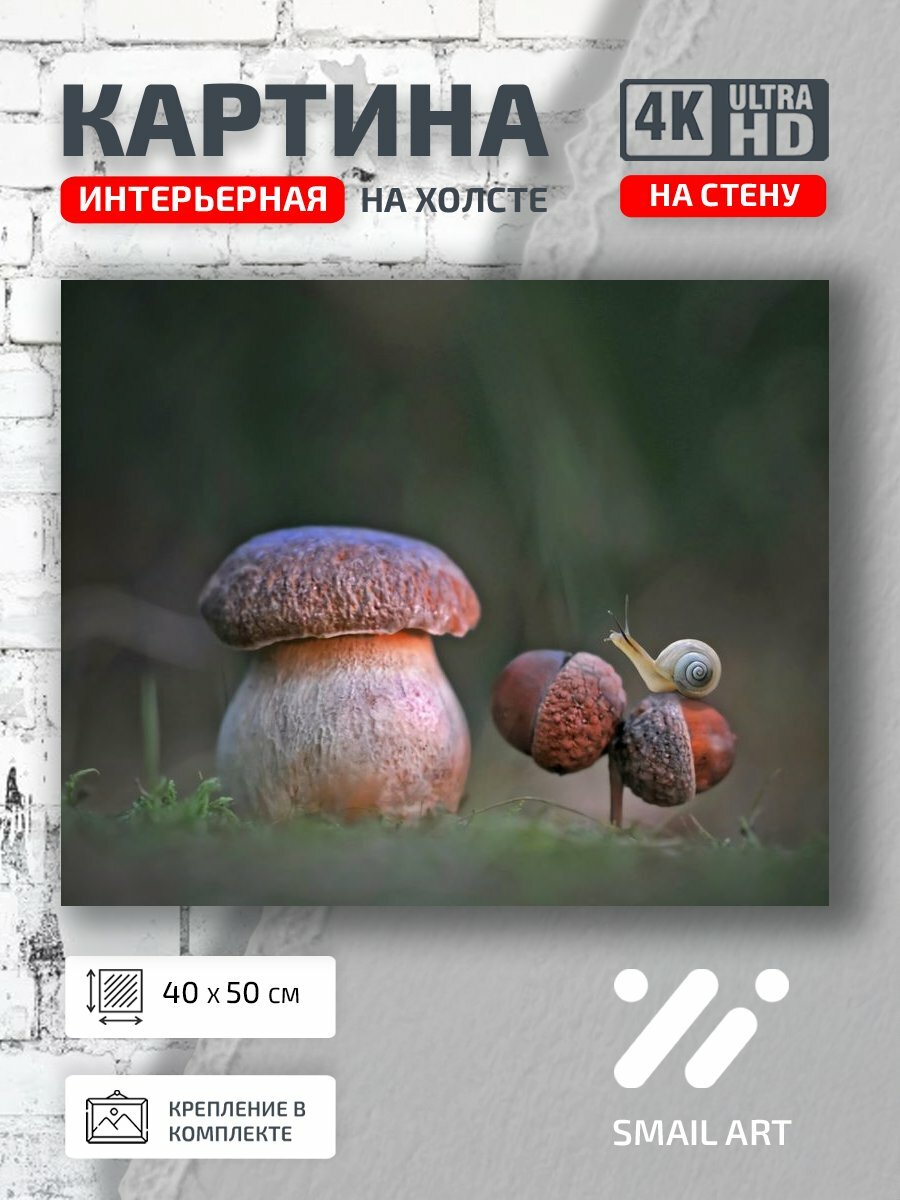 Картина на холсте интерьерная 40 на 50 на стену Желудь Landscape для кафе пейзаж интерьер