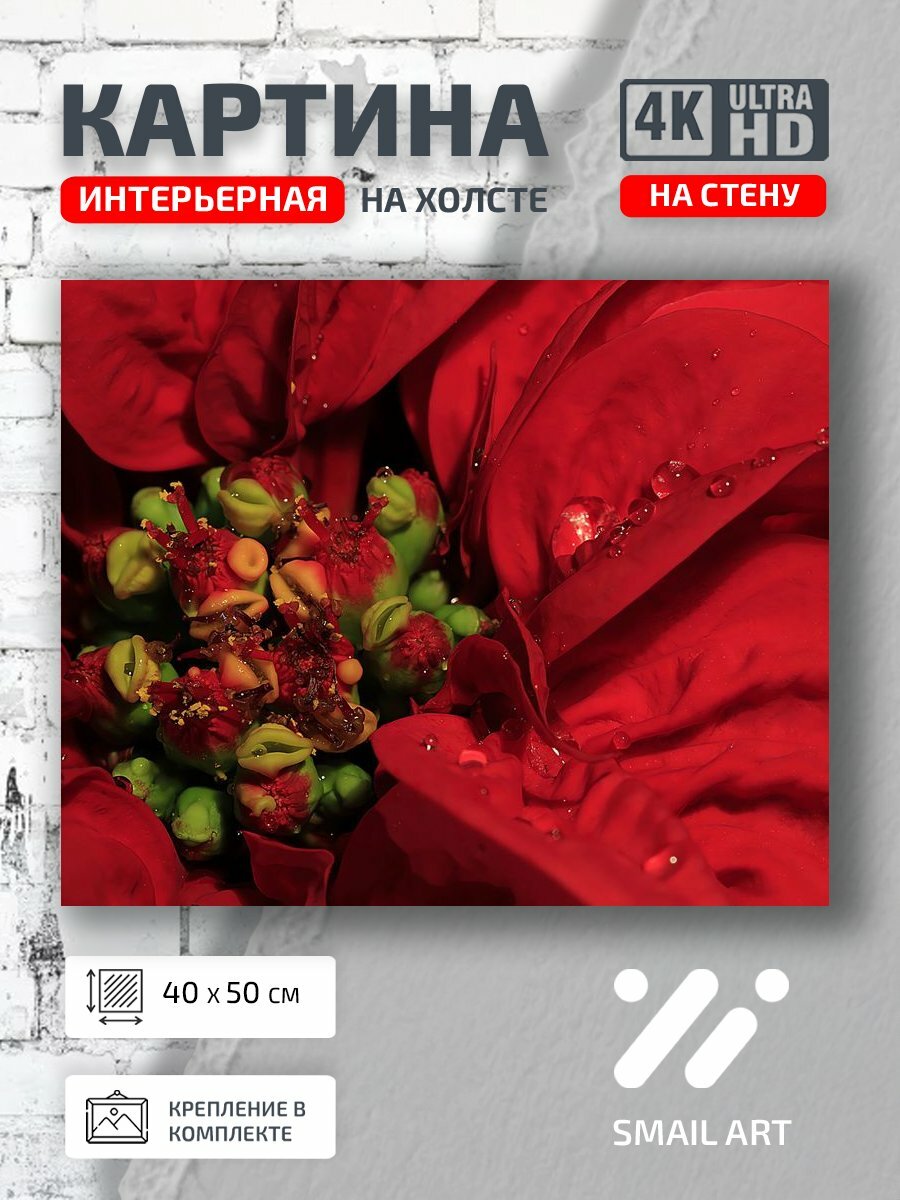 Картина на холсте интерьерная 40 на 50 на стену Лепестках Mood для кабинета атмосфера декор