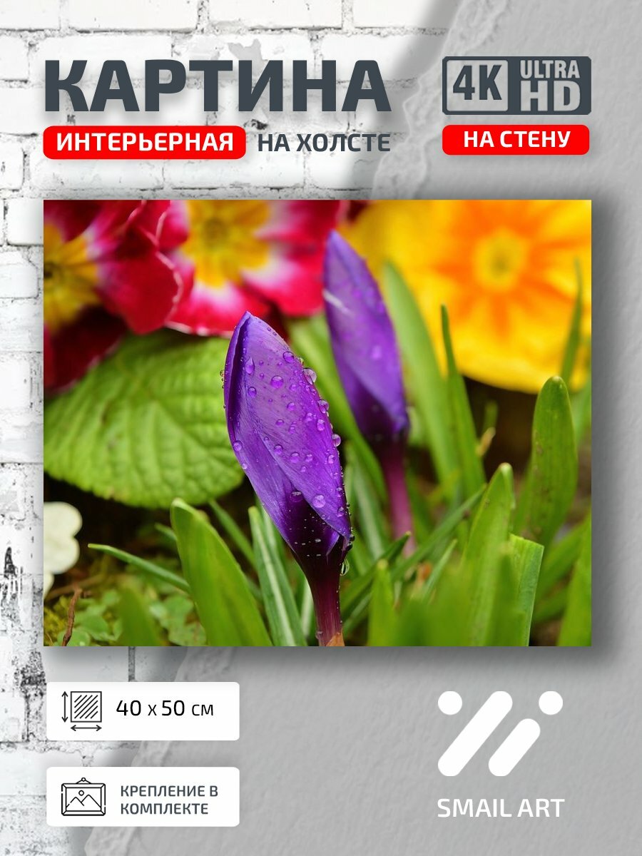 Картина на холсте интерьерная 40 на 50 на стену Капли Macro для студии макро интерьер декор
