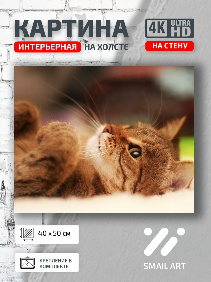 Картина на холсте интерьерная 40 на 50 на стену Укрывается Animal для детской animal style