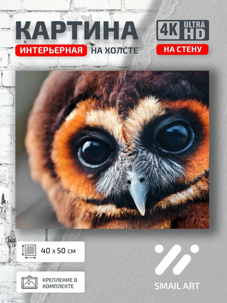 Картина на холсте интерьерная 40 на 50 на стену Совы Mood для студии атмосфера интерьер