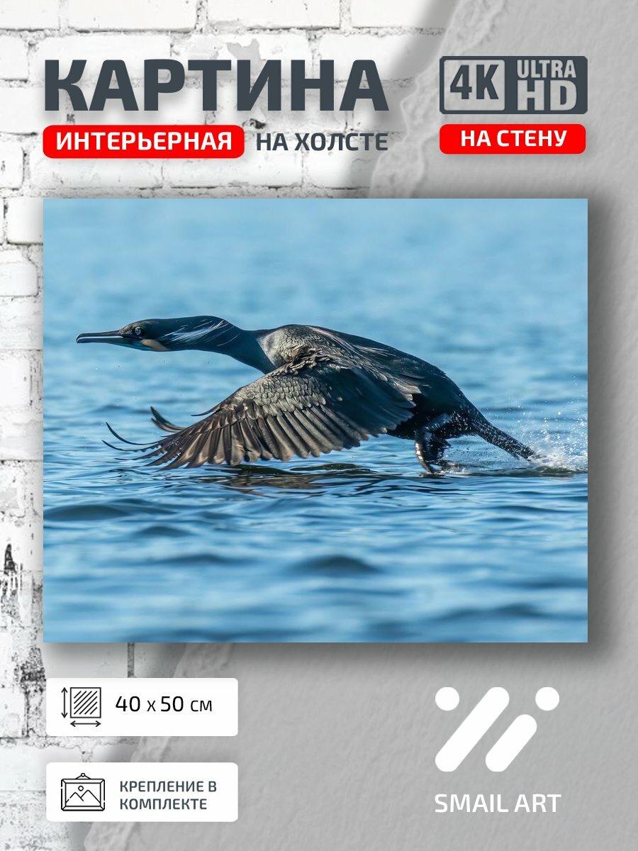 Картина на холсте интерьерная 40 на 50 на стену Водой Landscape для офиса пейзаж интерьер