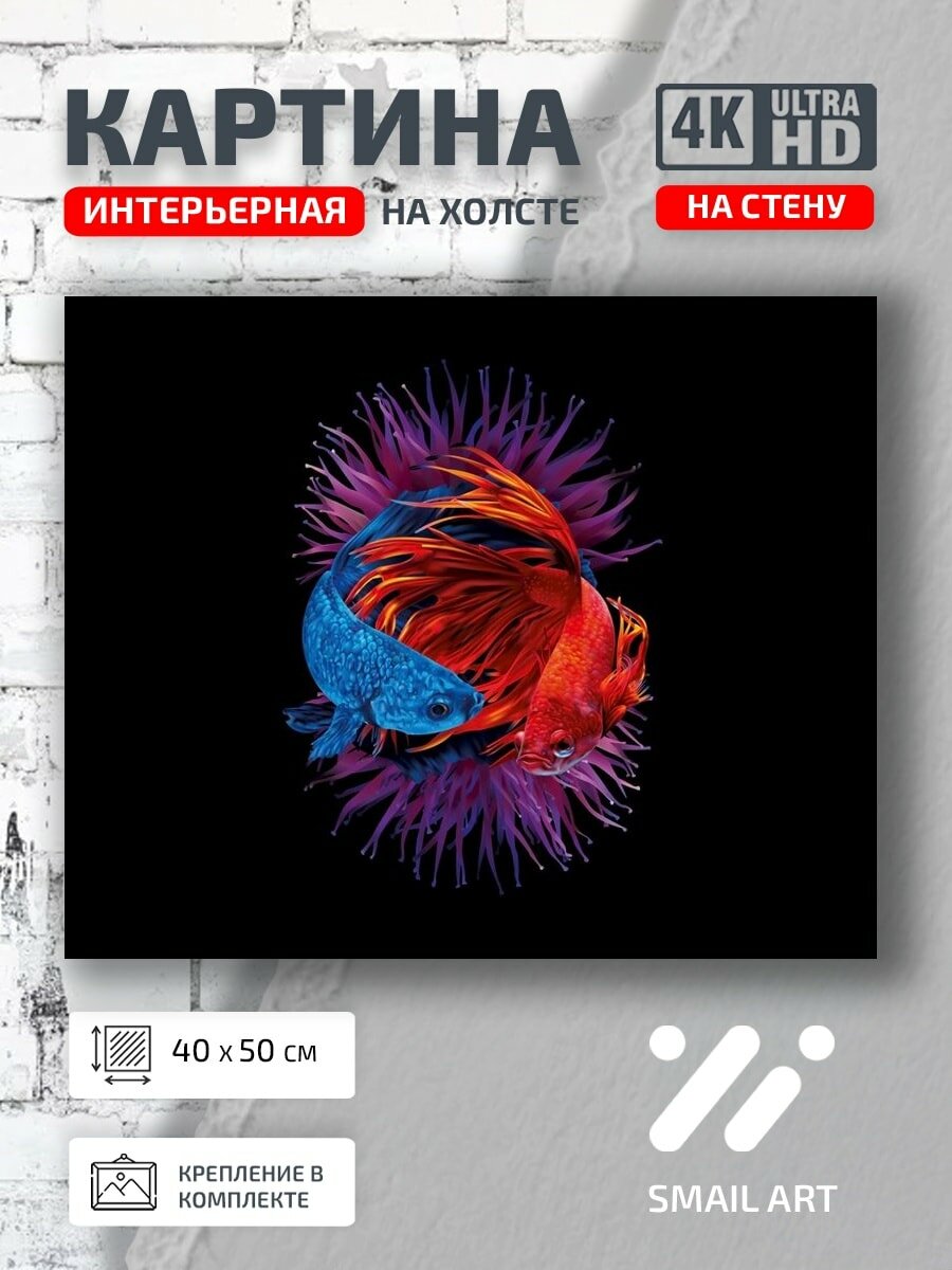Картина на холсте интерьерная 40 на 50 на стену Бойцовые рыбки для гостиной атмосфера