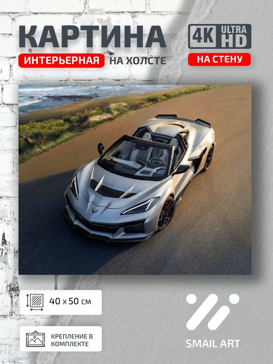 Картина на холсте интерьерная 40 на 50 на стену Quail Silver для студии атмосфера