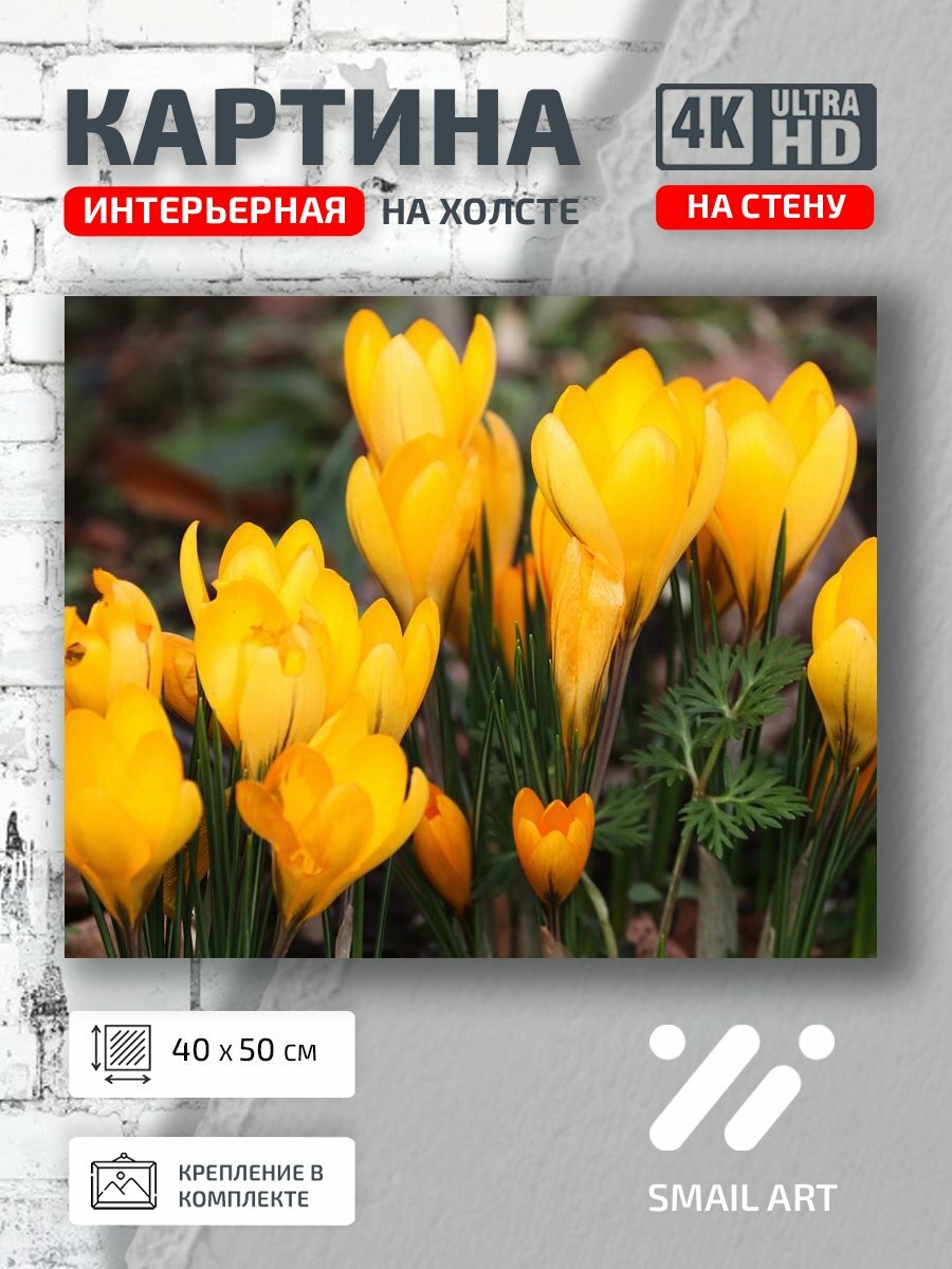 Картина на холсте интерьерная 40 на 50 на стену Цветы Mood для кабинета атмосфера интерьер