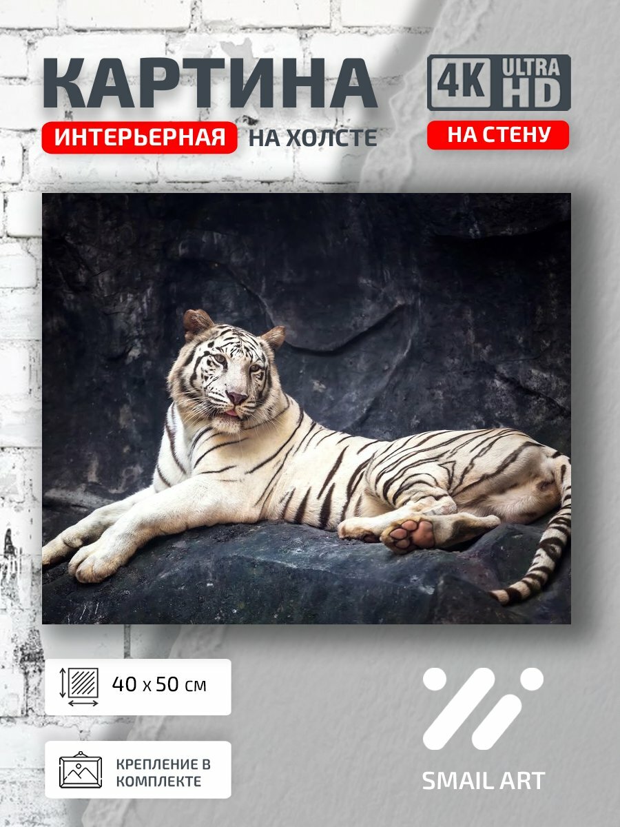 Картина на холсте интерьерная 40 на 50 на стену Камне Animal для детской animal style декор