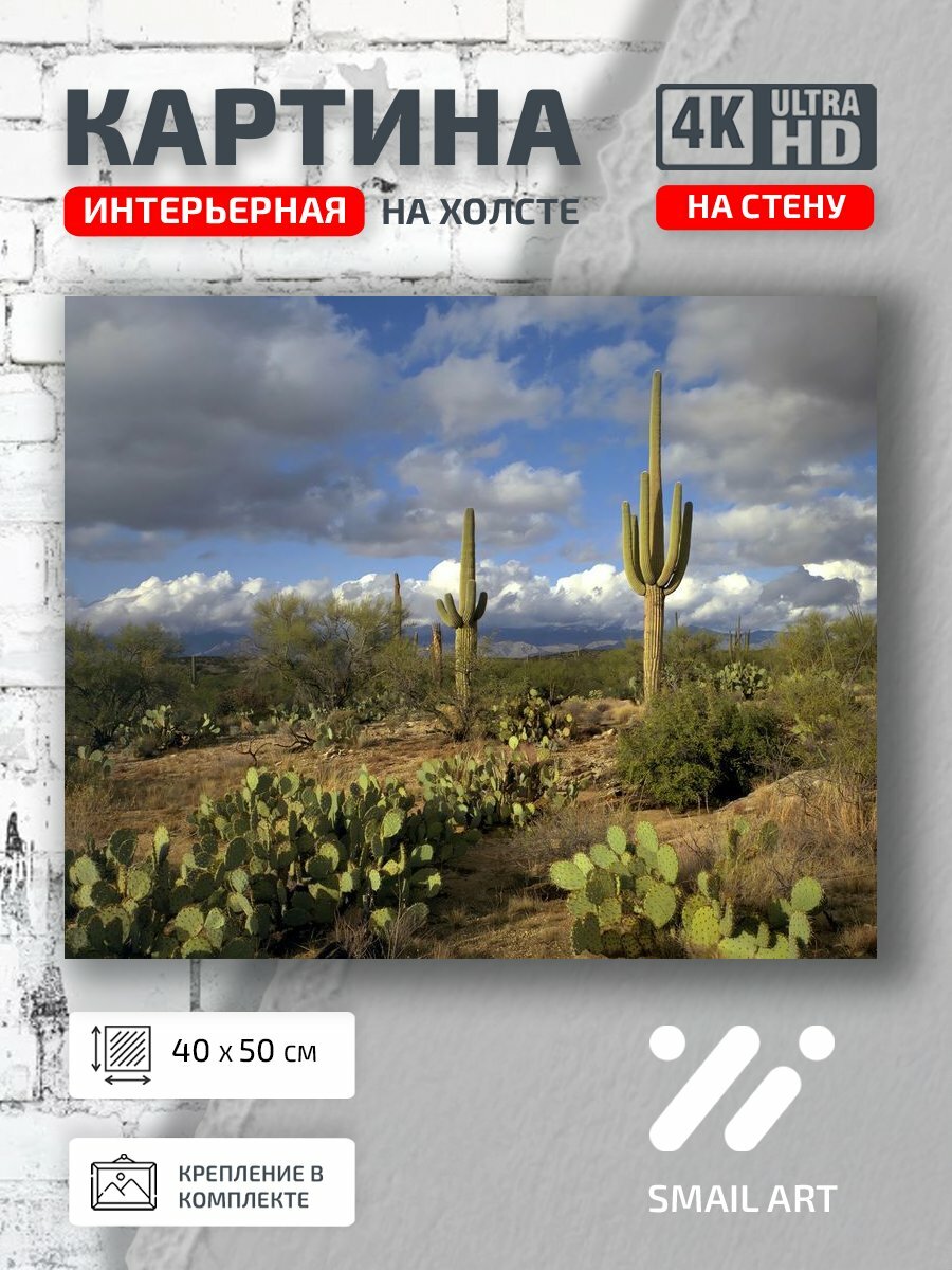 Картина на холсте интерьерная 40 на 50 на стену Аризона Arizona для спальни атмосфера декор
