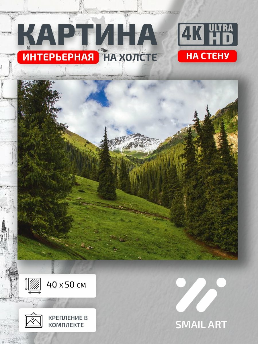 Картина на холсте интерьерная 40 на 50 на стену Небо Landscape для кафе пейзаж интерьер