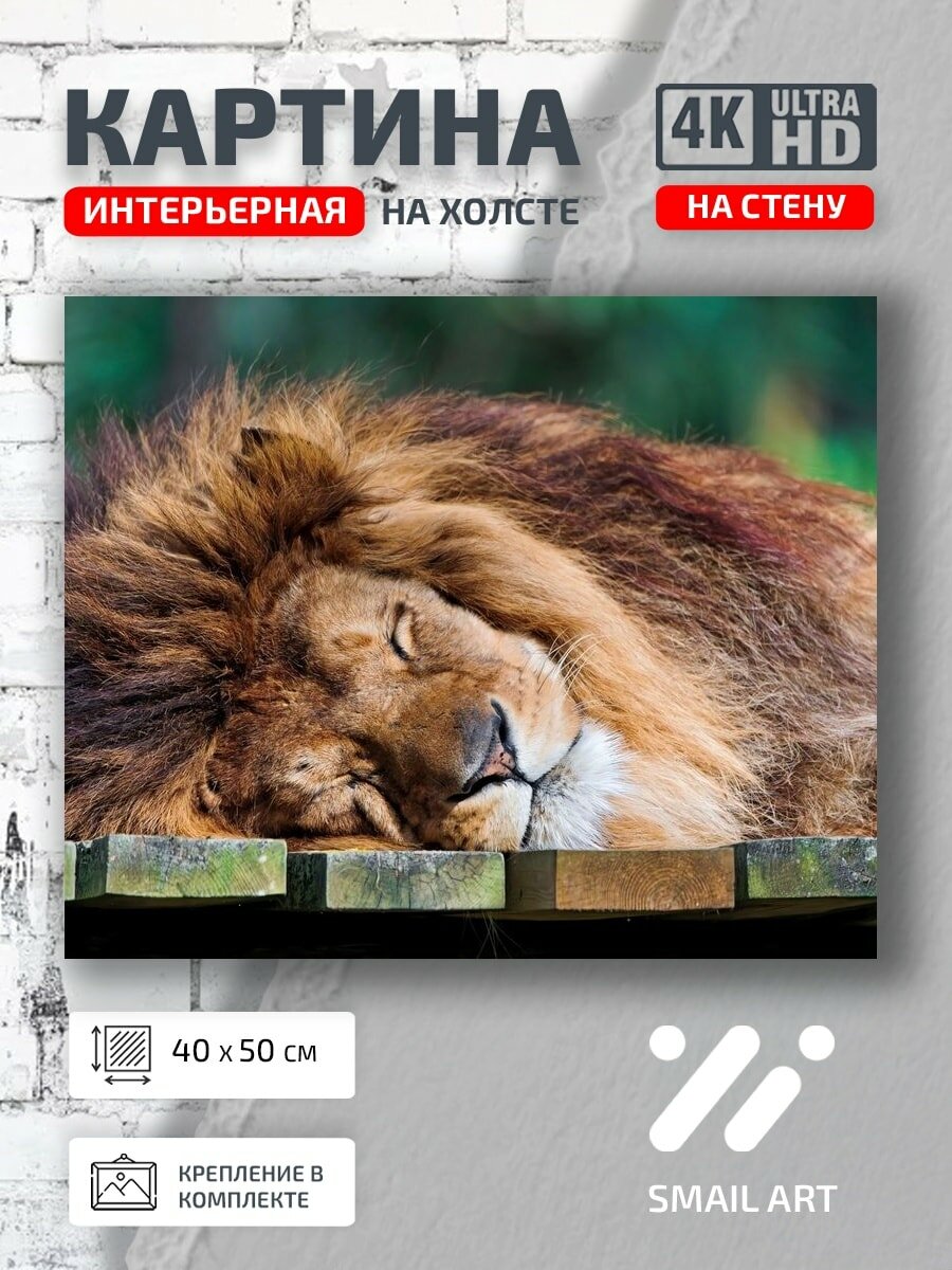 Картина на холсте интерьерная 40 на 50 на стену Sleeping lion для кафе animal style
