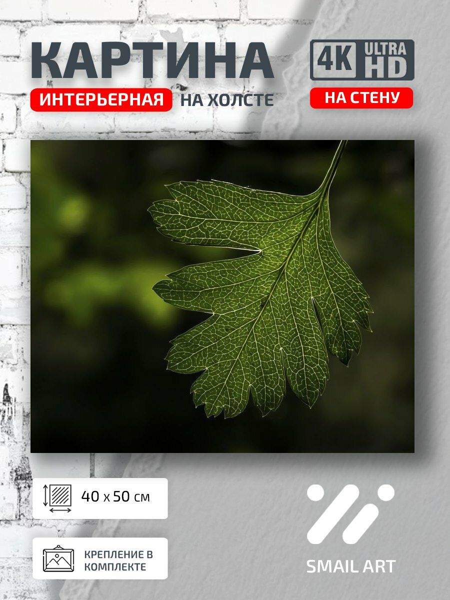 Картина на холсте интерьерная 40 на 50 на стену Зеленый Landscape для гостиной пейзаж декор