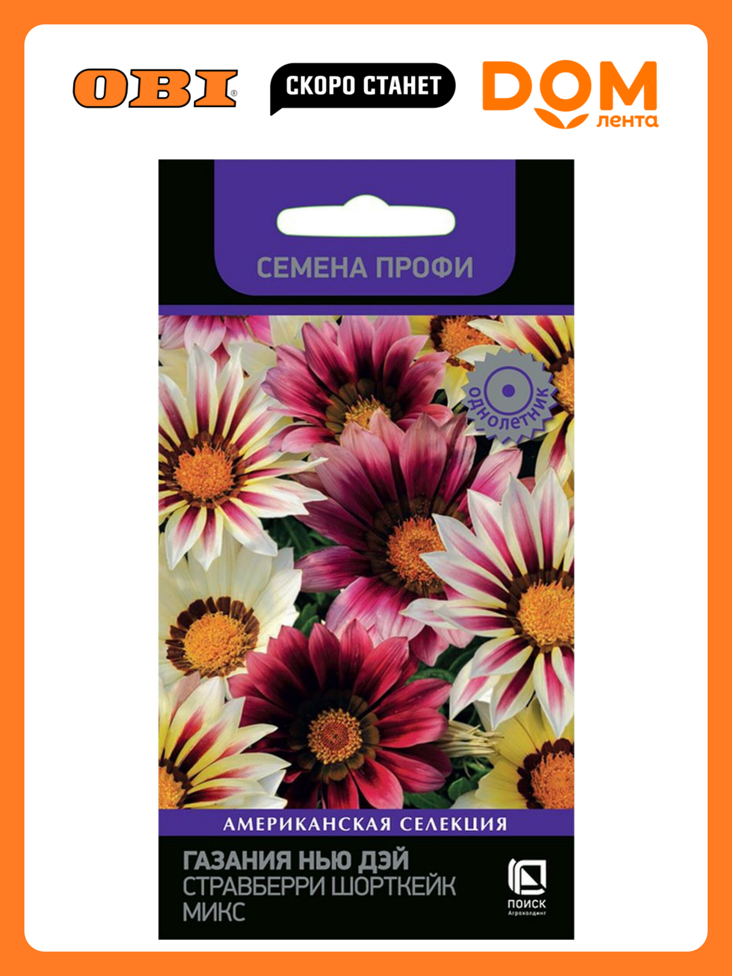 Семена Газании поиск Нью Дэй Стравберри Шорткейк 10 шт
