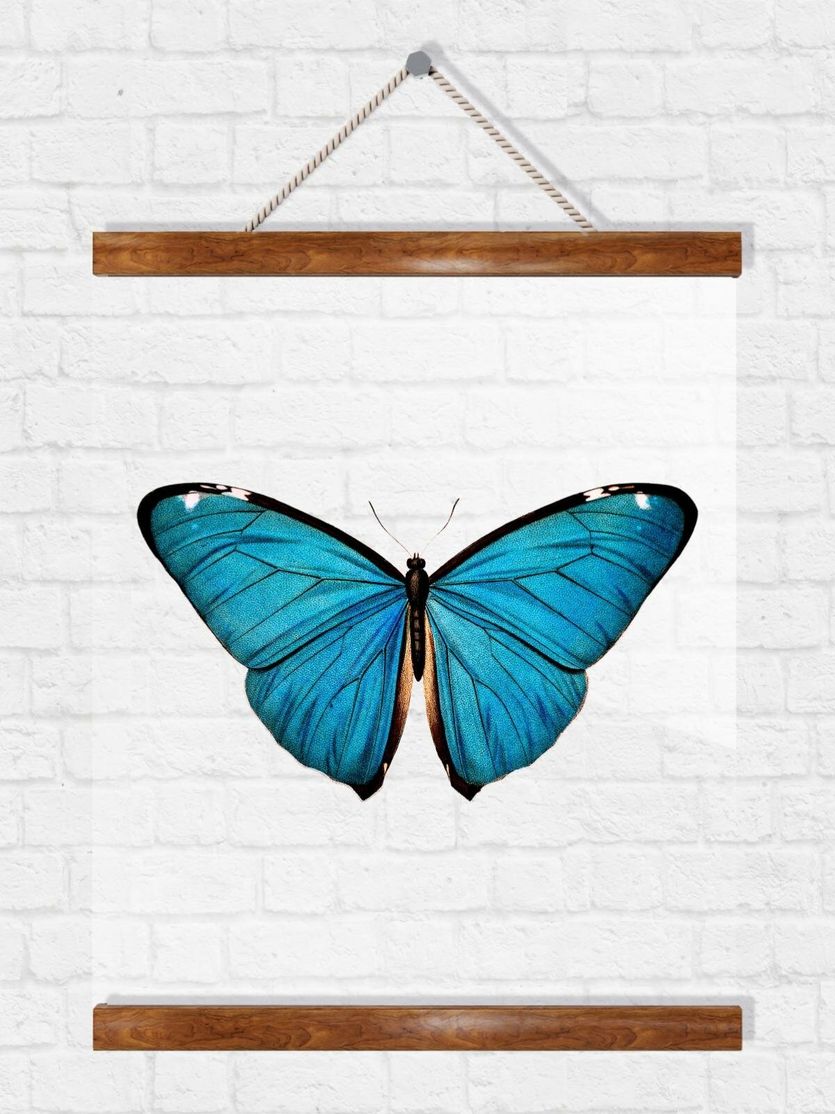 Постер / Плакат / Картина Прозрачный постер - Небесно-голубая бабочка 60x90