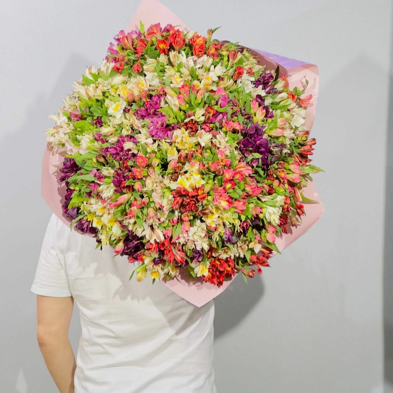 Цветы альстромерии в огромном букете 201 шт