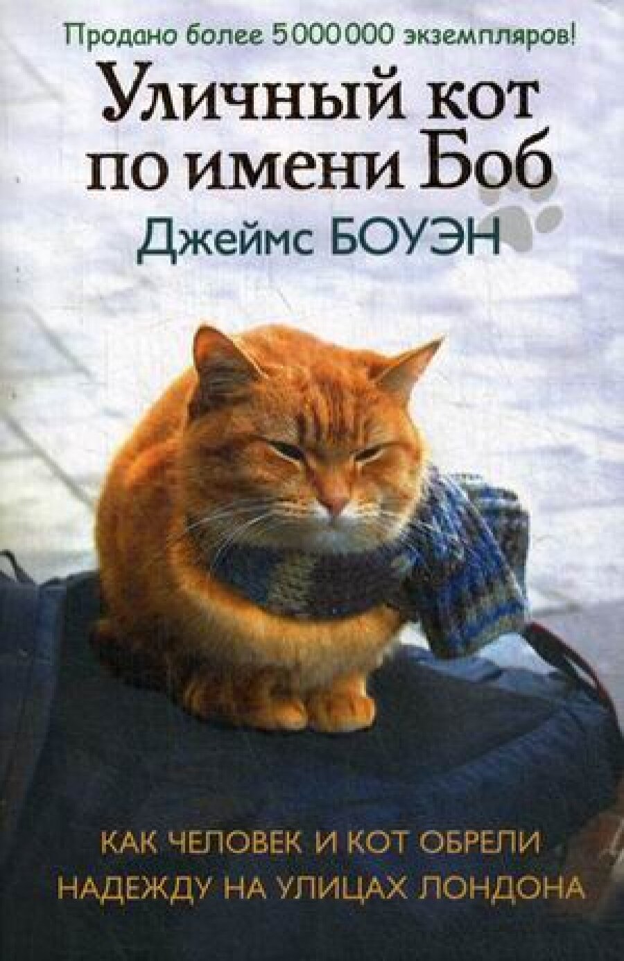 Уличный кот по имени Боб