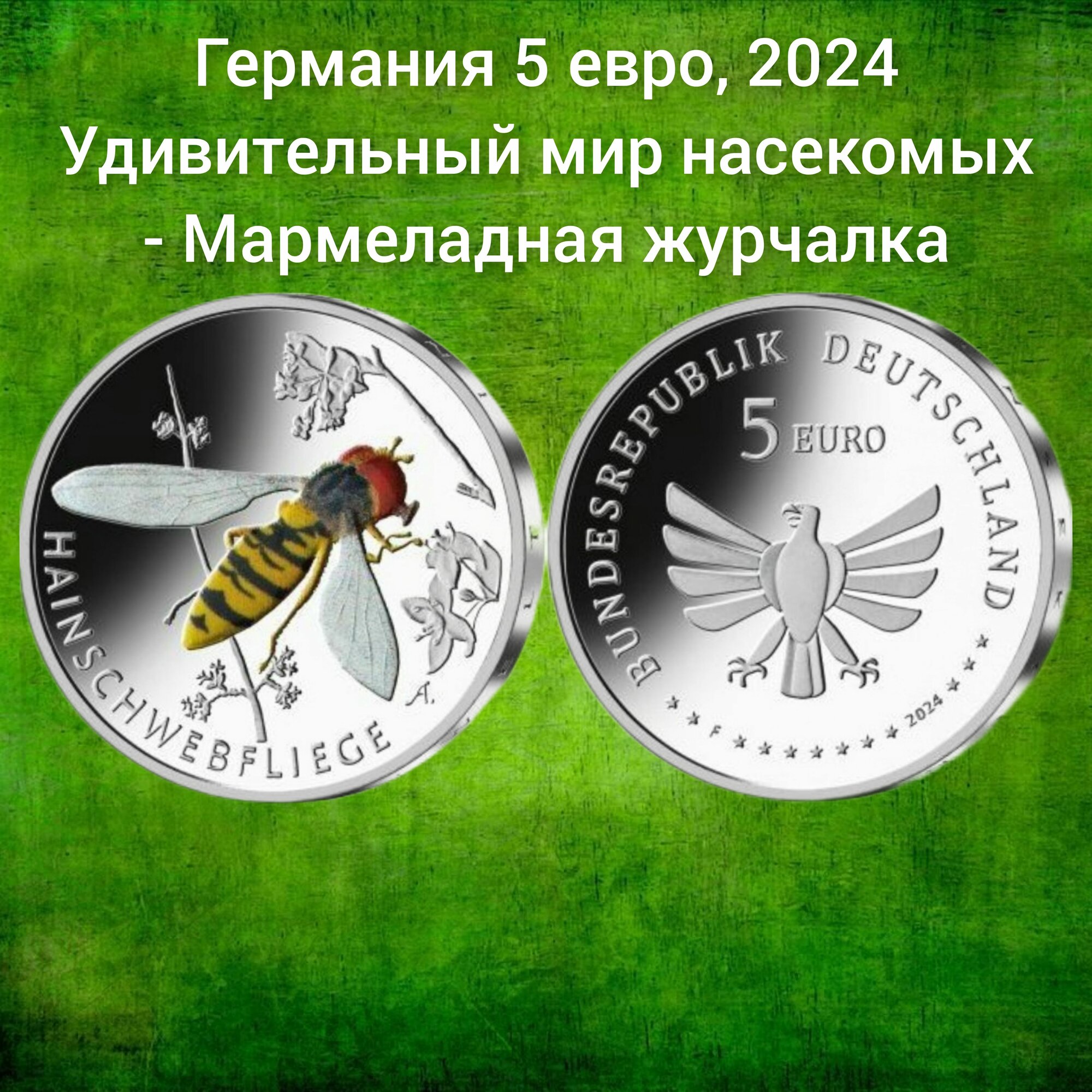 Германия 5 евро, 2024 Удивительный мир насекомых - Мармеладная журчалка