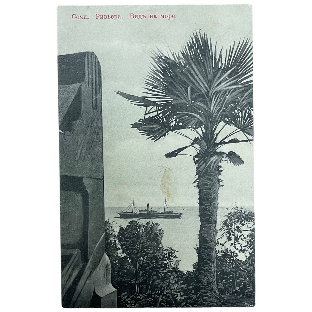 Почтовая открытка "Сочи. Ривьера. Вид на море" 1900-1917 гг. Российская Империя
