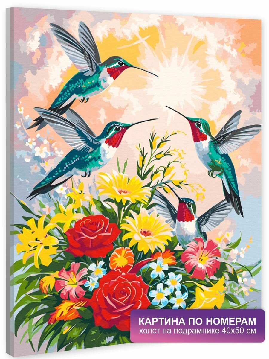 Картина по номерам на холсте с подрамником 40х50 см. Природа, животные, рыбы, птицы. "Колибри", арт. 5148/