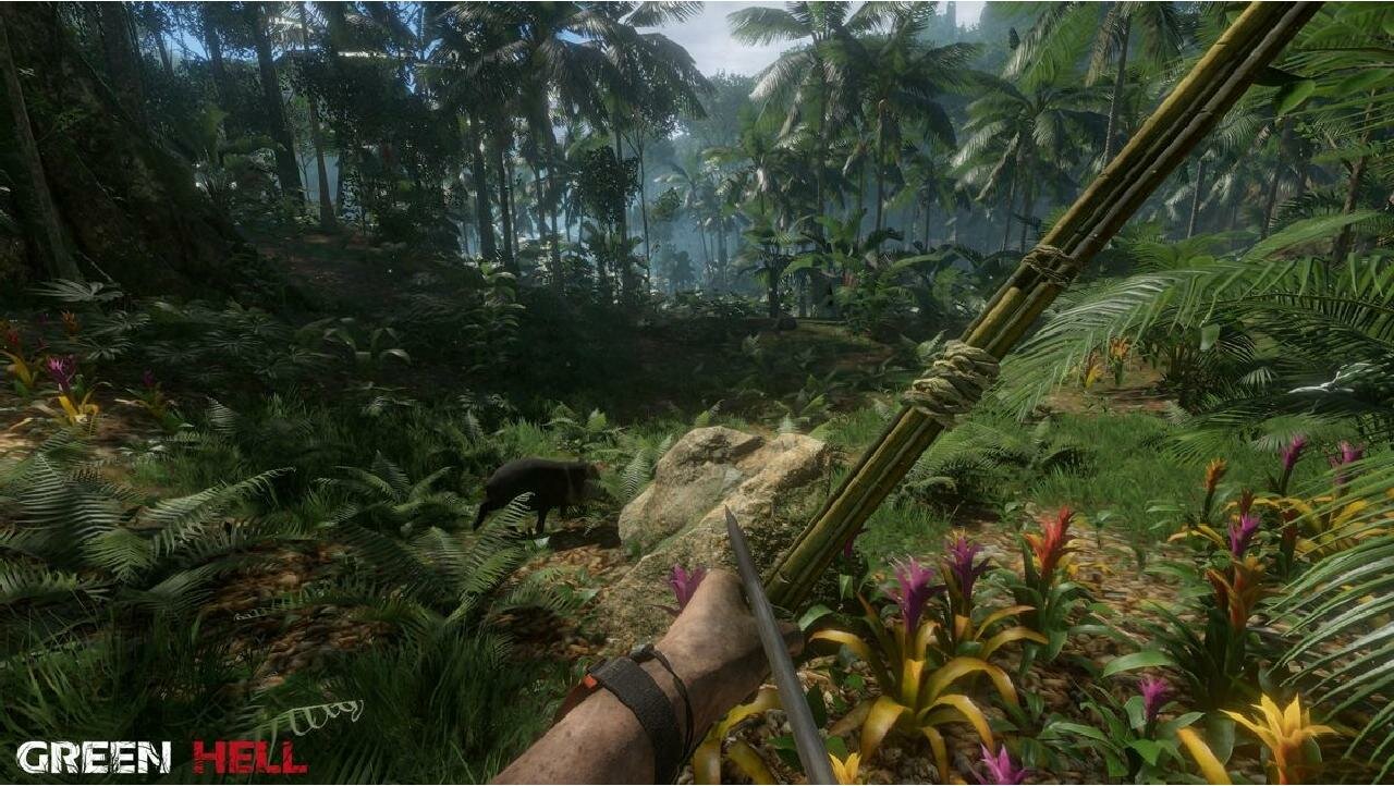 Green Hell [Nintendo Switch, русские субтитры] — фото 1