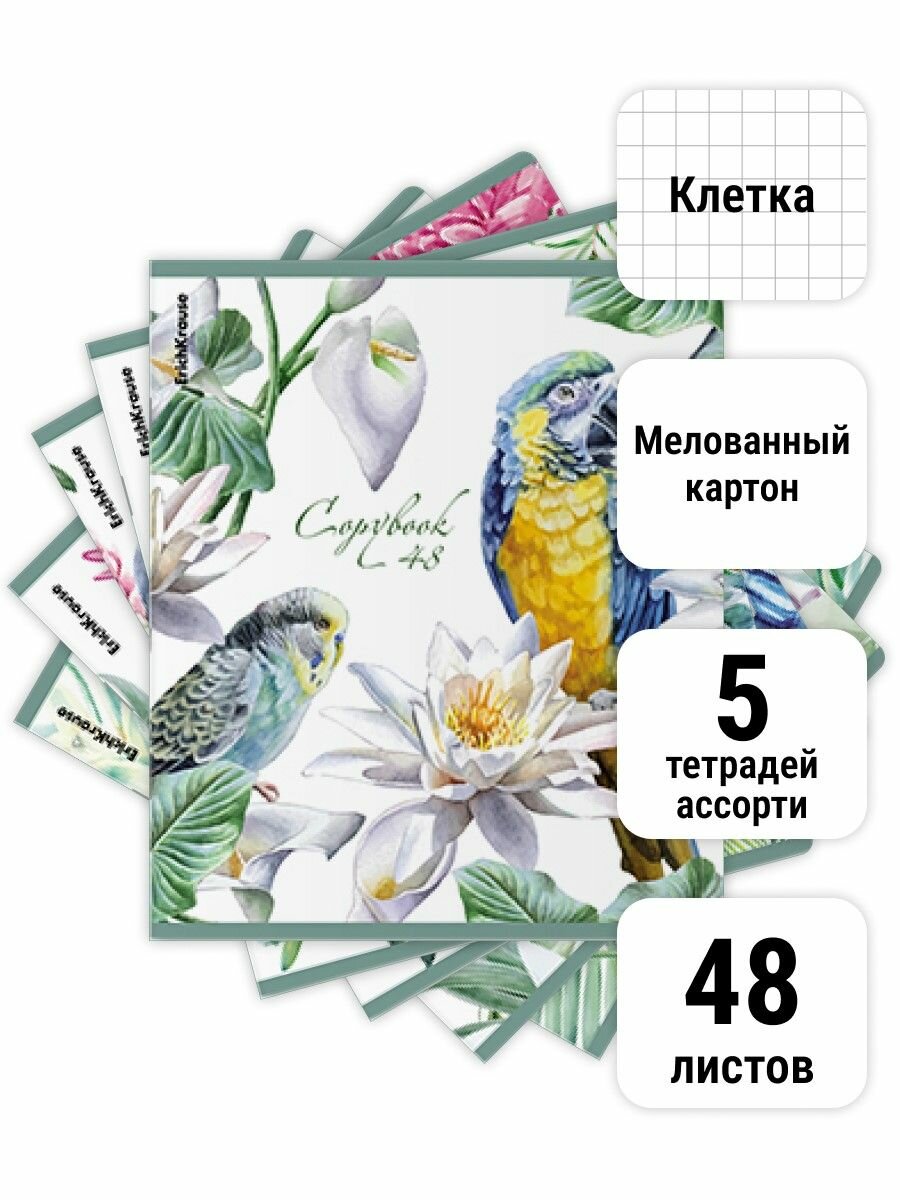 Тетрадь общая ученическая Тропические птицы, 48 листов, Клетка