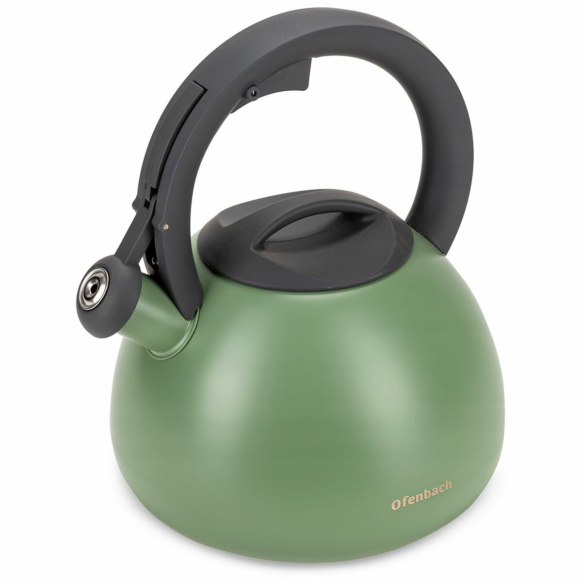Чайник 2,7 л. из нержавеющей стали со свистком Ofenbach NB 100323 (зеленый)
