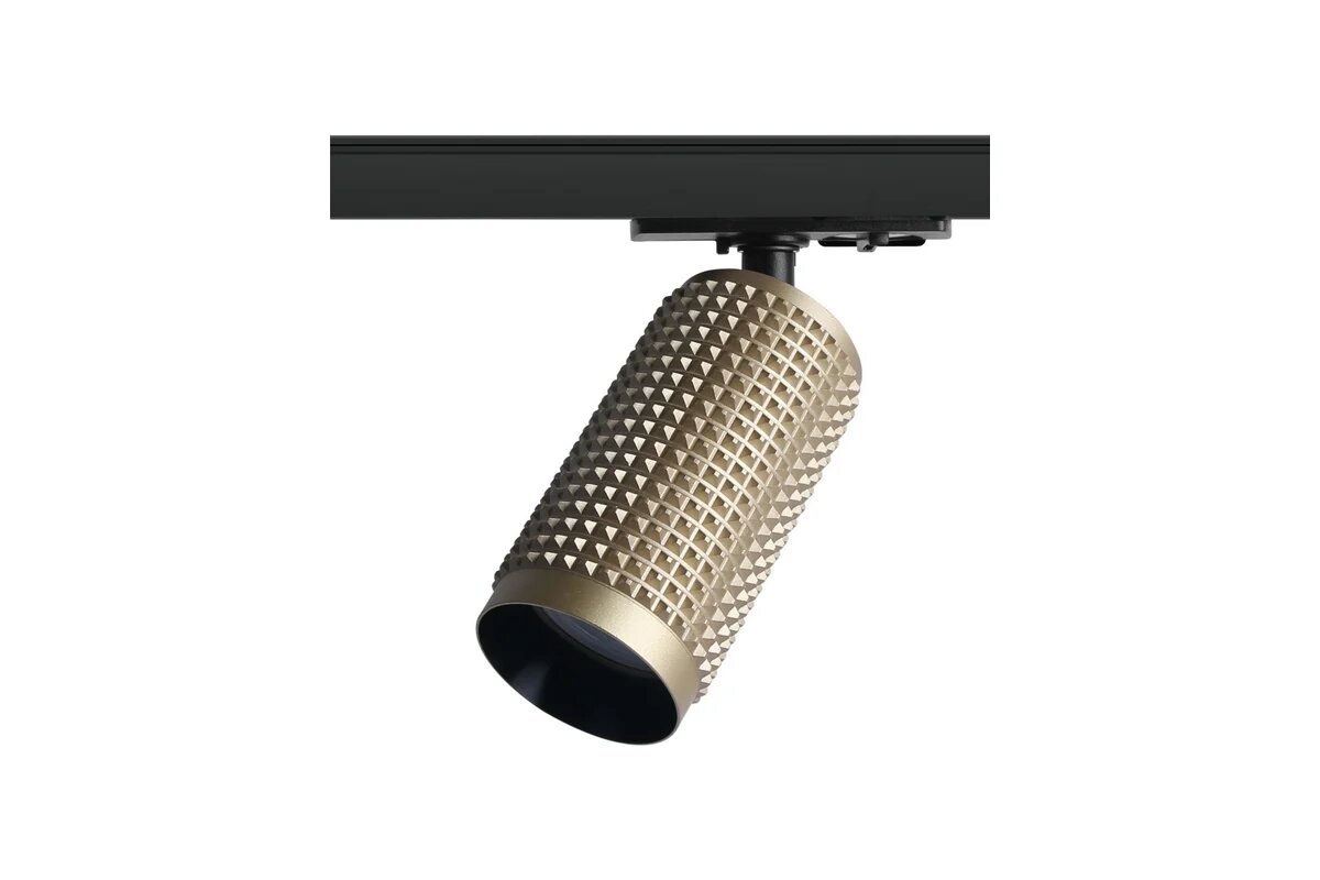 ЭРА трековый светильник однофазный TR40GU10 MG под лампу MR16, матовое золото