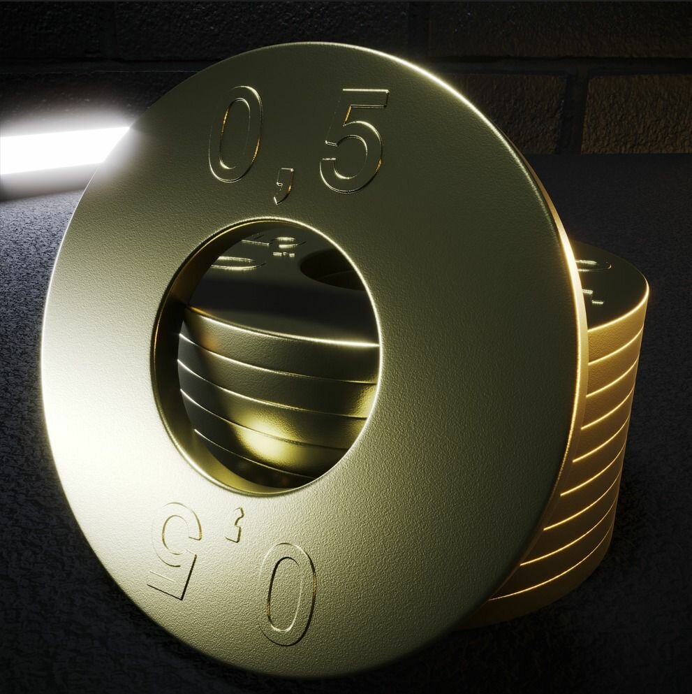 Блины для штанги, рекордные диски для штанги 0.5кг, доборные диски 50мм, 2шт