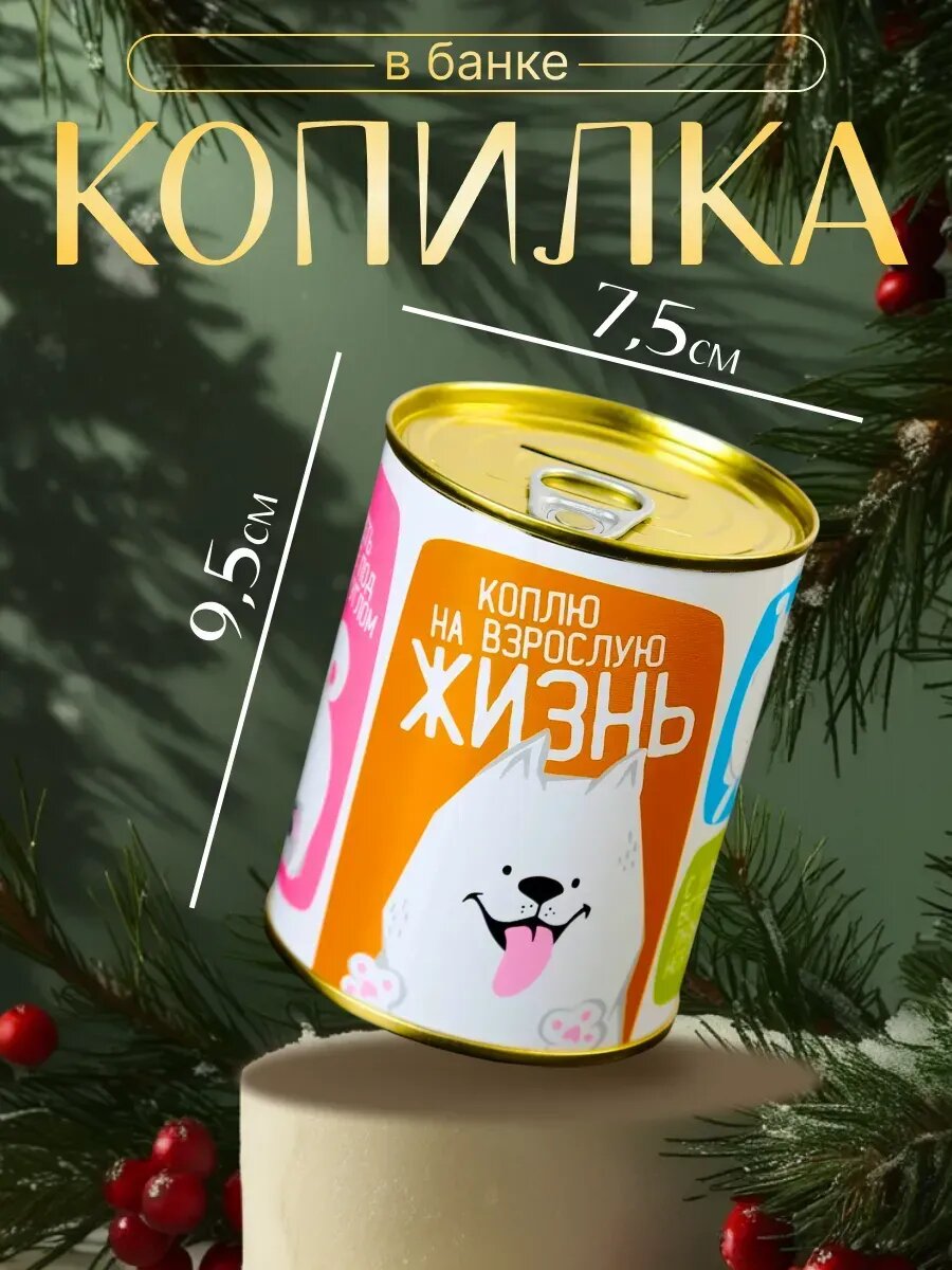 Копилка банка "Коплю на взрослую жизнь