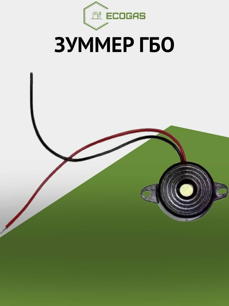 Зуммер ГБО — фото 1