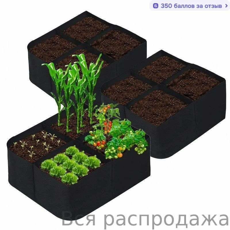 Грядка