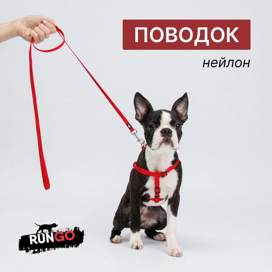 Поводок нейлоновый для собак, 10 мм, 120 см, красный