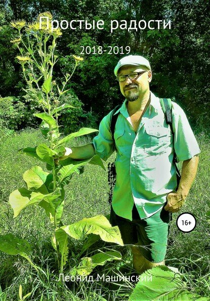 Простые радости [Цифровая книга]