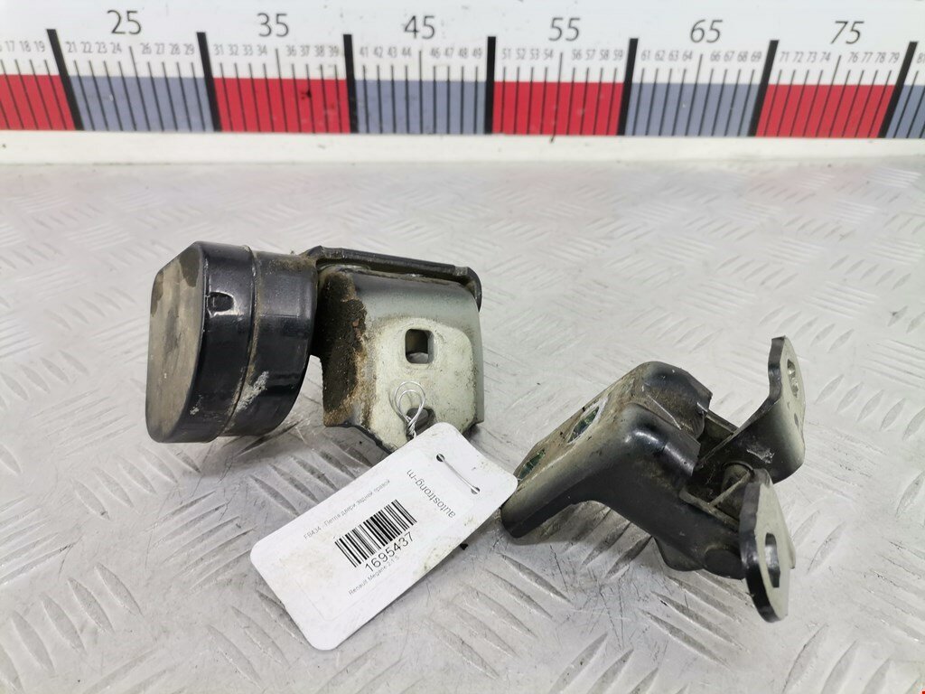 Петля двери задней правой Renault Megane 2 8200885639 арт. 1695437