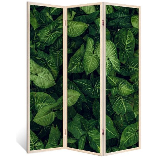Ширма перегородка Декор Депо для комнаты деревянная "Австралия" двухсторонняя с картинкой (уют) 3 створки кремовый дуб 176х140 см 11 кг