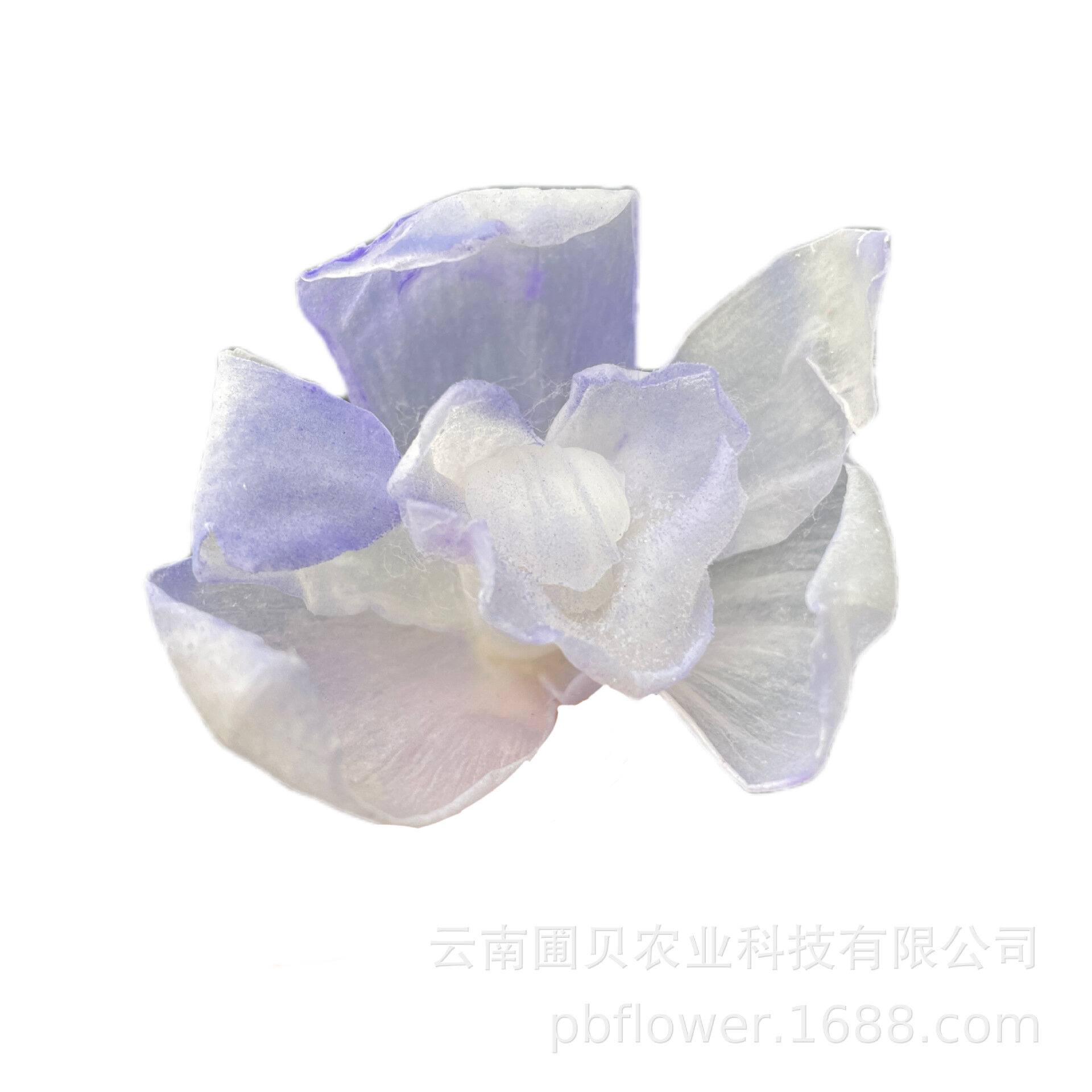 Цветочная композиция Flower Maker "Бабочка", фаленопсис, синий фиолетовый, 3 шт