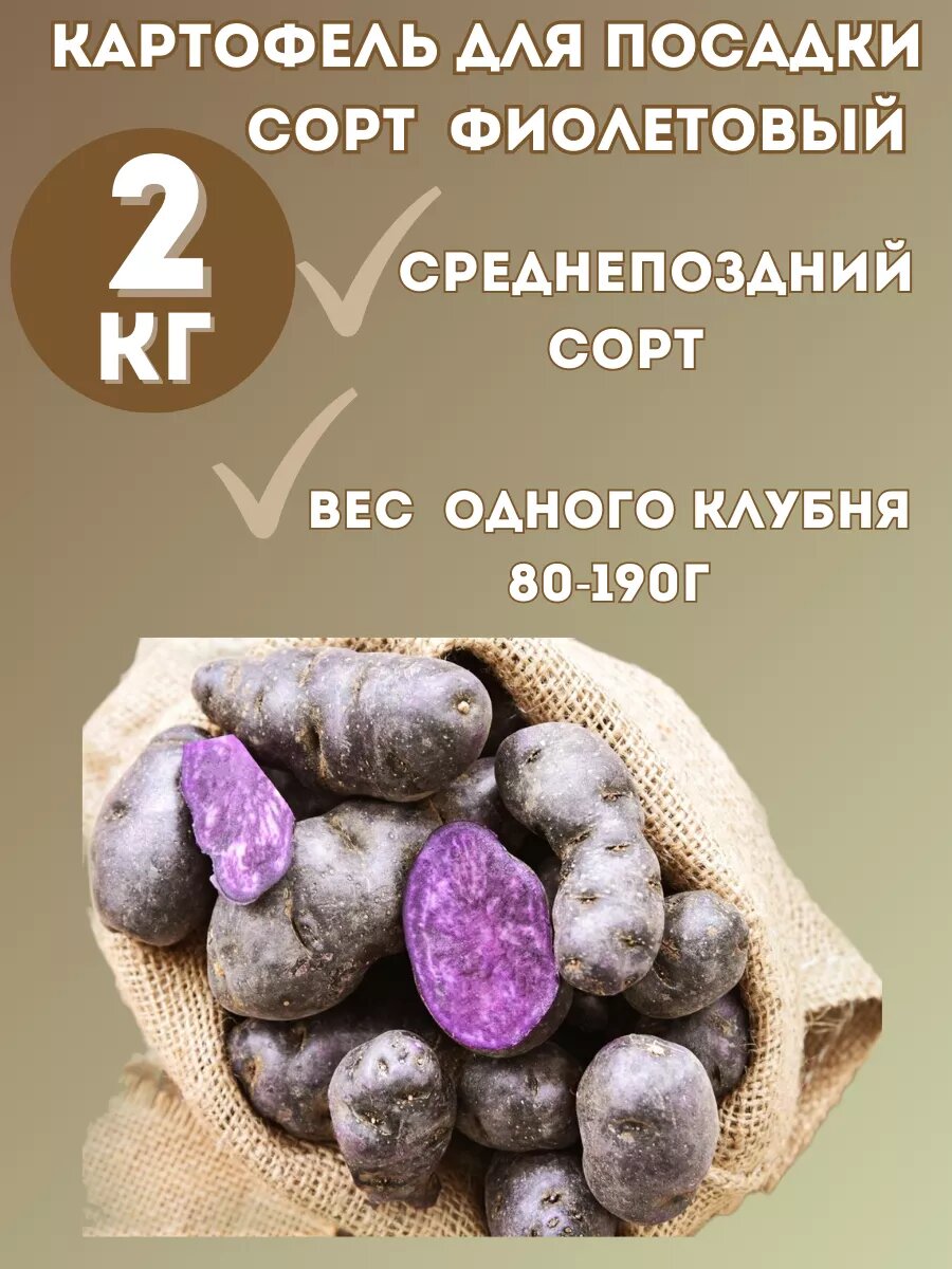 Картофель семенной "Фиолетовый" 2 кг